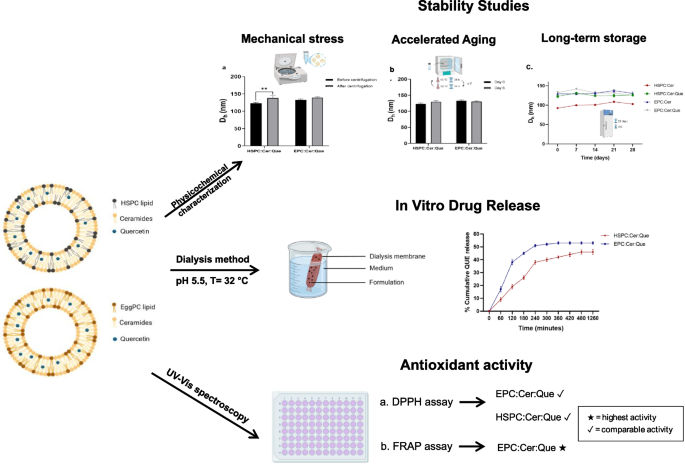 A Comparative Study of the Influence of Lipid Composition on Stability, In Vitro Release, and ...