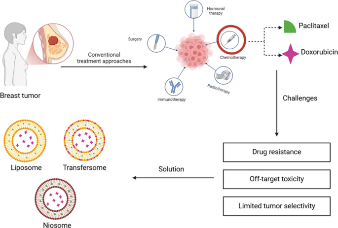 Co-Encapsulation of Doxorubicin HCl and Paclitaxel in Nanovesicles for ...