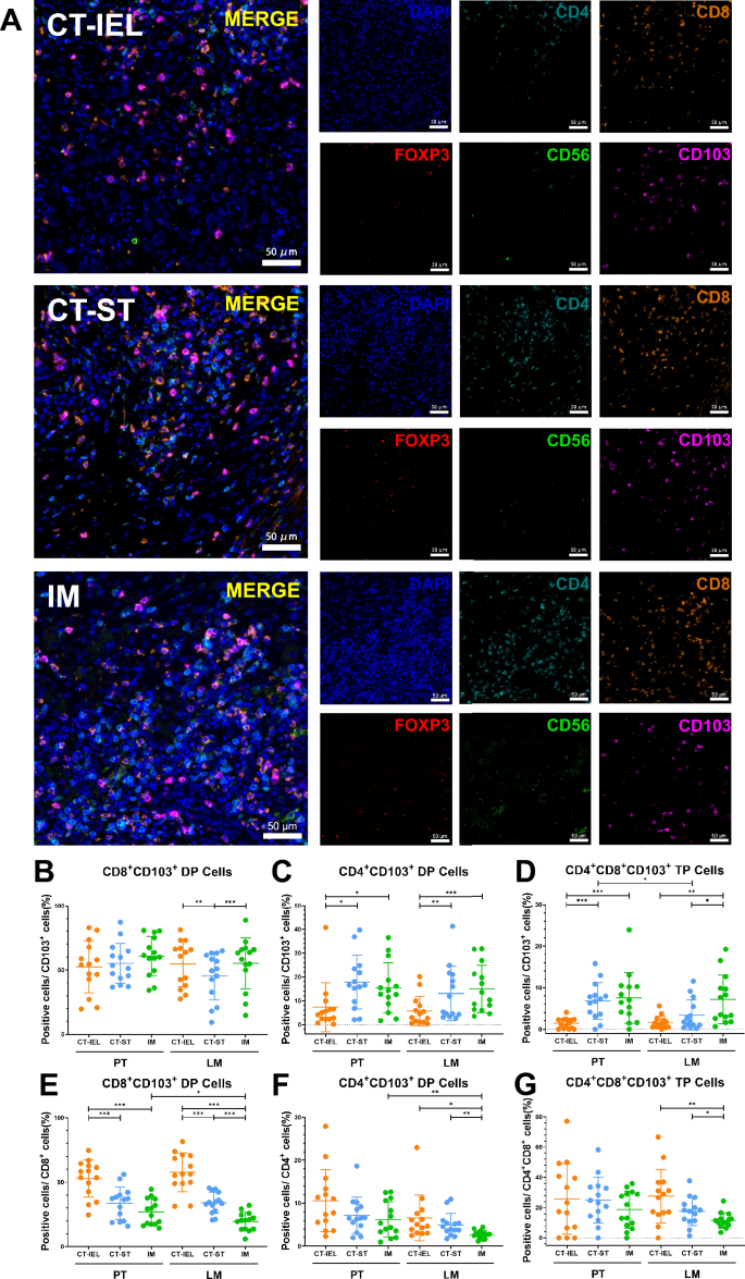 CD103-Positive Tumor-Infiltrating Lymphocytes Predict a Favorable ...