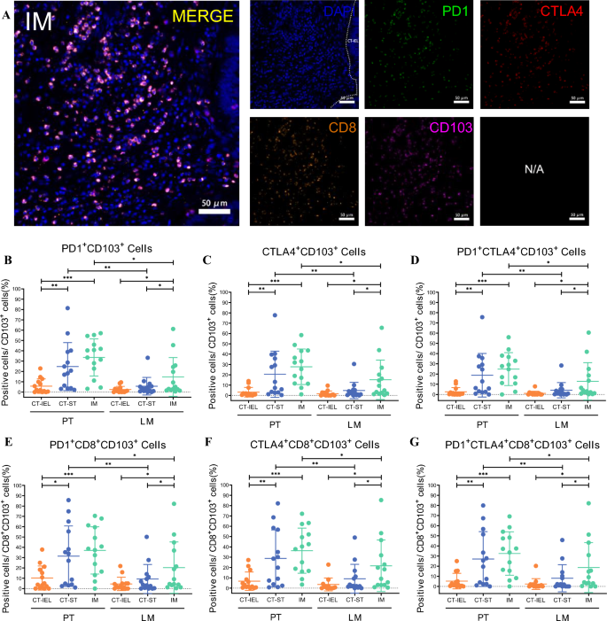 CD103-Positive Tumor-Infiltrating Lymphocytes Predict a Favorable ...