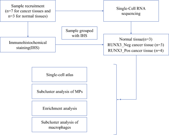 Single-Cell RNA Sequencing Reveals Potential Mechanism of RUNX3 Reshaping Tumor Microenvironment ...