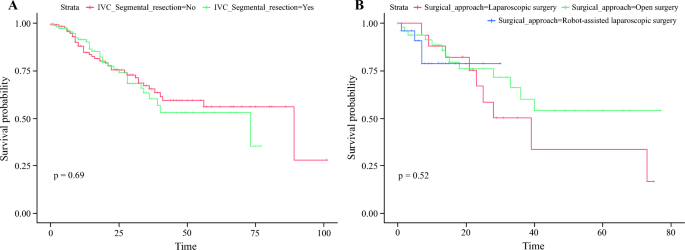 Segmental Resection of the Inferior Vena Cava is Safe and Feasible for ...