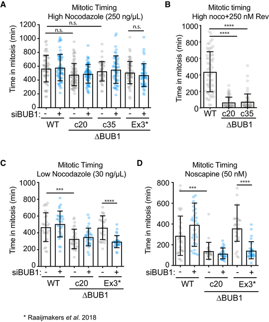 Killing a zombie: a full deletion of the BUB1 gene in HAP1 cells | The ...