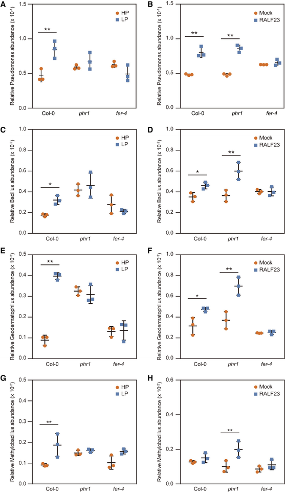 Plant immunity suppression via PHR1‐RALF‐FERONIA shapes the root ...