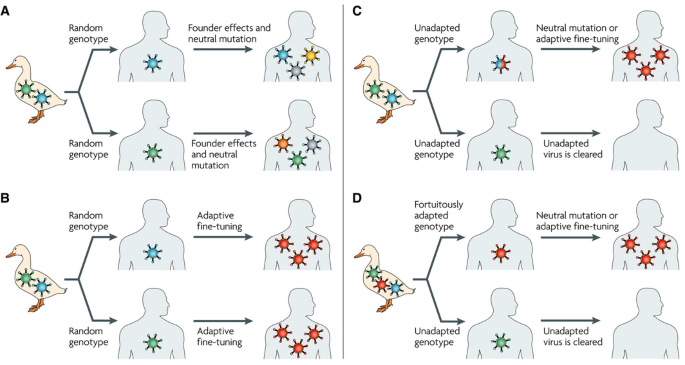 Emerging pathogen evolution | EMBO Reports | Springer Nature Link