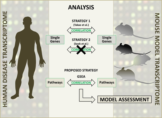 Defining the optimal animal model for translational research using gene ...