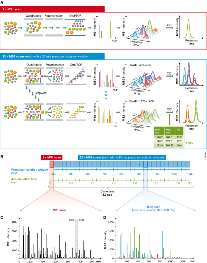 Data‐independent acquisition‐based SWATH‐MS for quantitative proteomics ...