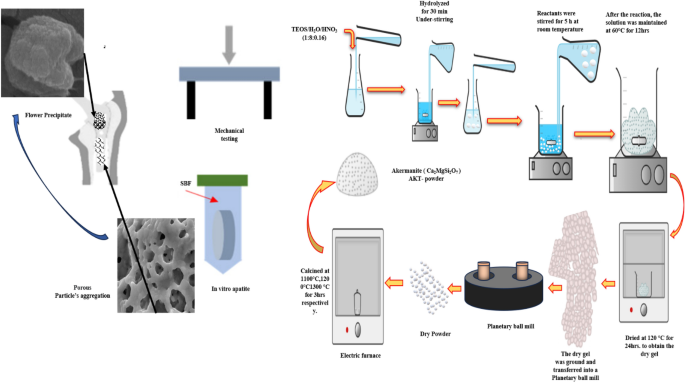 A comparative investigation on the development of porous-structured Akermanite (Ca2MgSi2O7) via ...