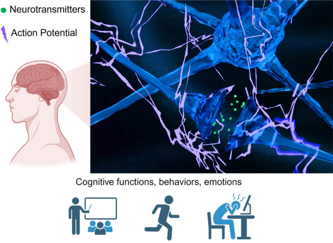Implantable multi-modality microelectrode arrays: Past, present, and ...