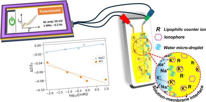 Conductometric sensor for potassium ion profiling using lipophilic salt ...