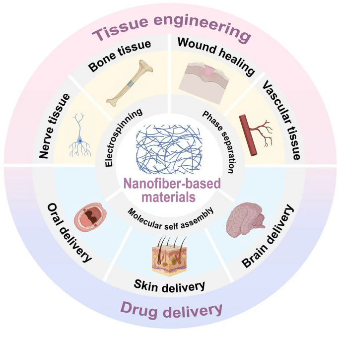 Current advances of biodegradable and biocompatible nanofiber-based ...