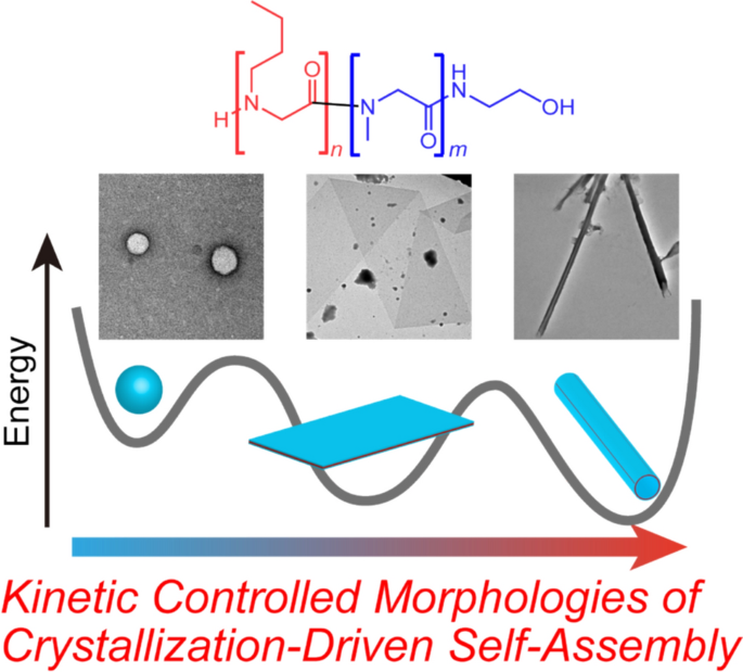 Kinetically controlled crystallization-driven self-assembly of peptoid block copolymers | MRS ...