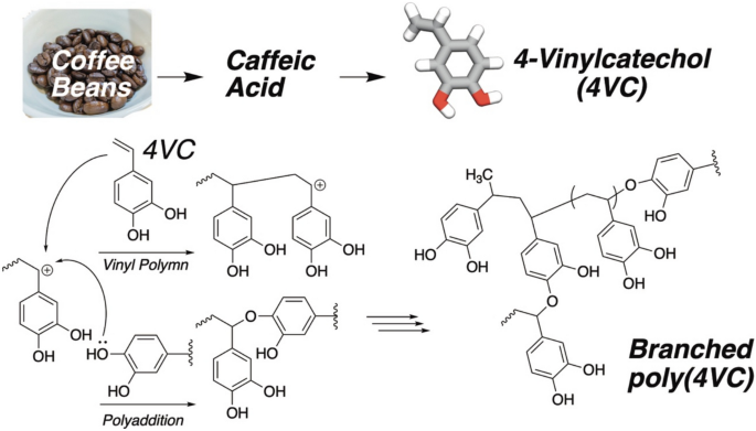 Synthesis of branched catechol-containing polymers by cationic ...