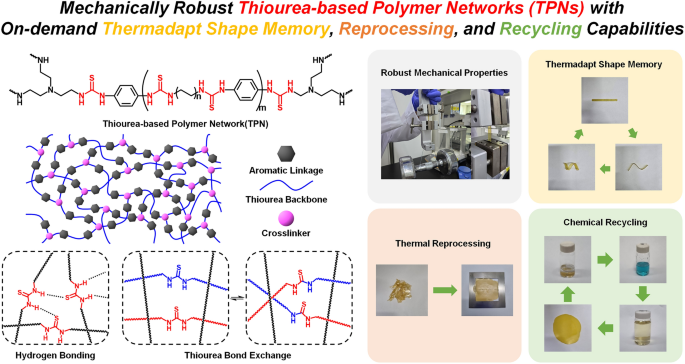 Strong and stiff thiourea-based polymer networks with thermadapt shape memory and on-demand ...