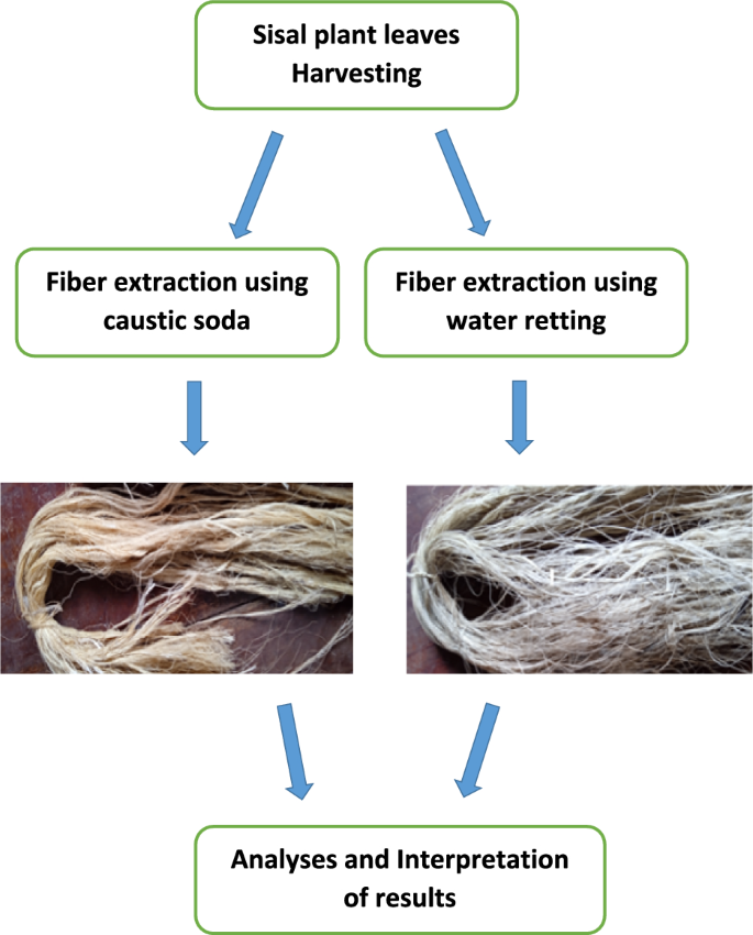 The influence of extraction methods on the properties of tropical sisal ...