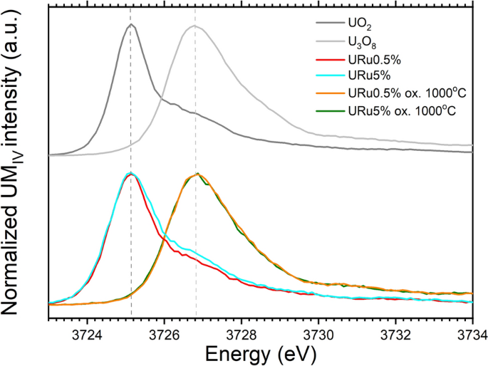 Synthesis and oxidation of Ru-doped UO2 | MRS Advances