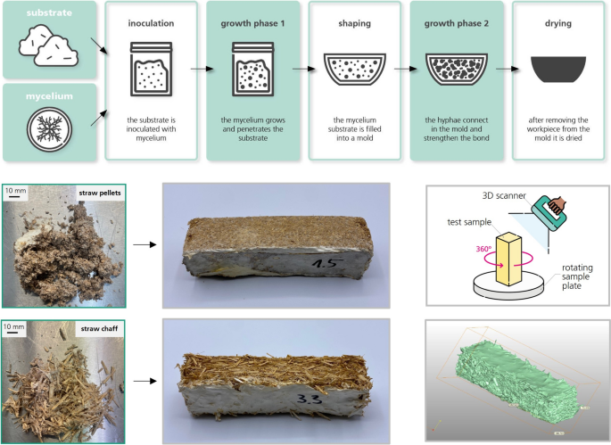 Substrate-based mycelium materials for applications in building ...