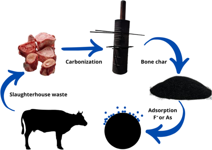 Evaluation of the use of bovine bone char in the adsorption of fluoride ...