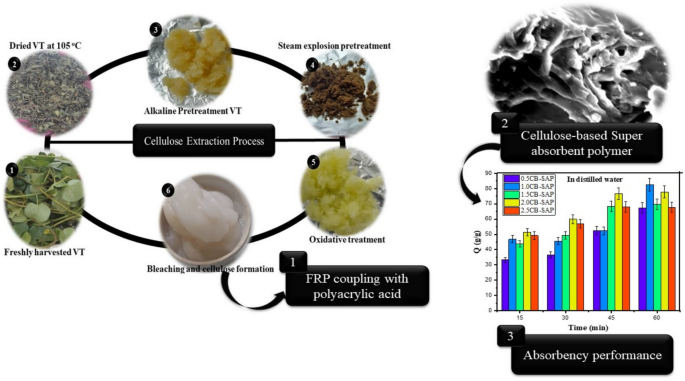 Cellulose extraction from Venezuelan treebine and fabrication of ...