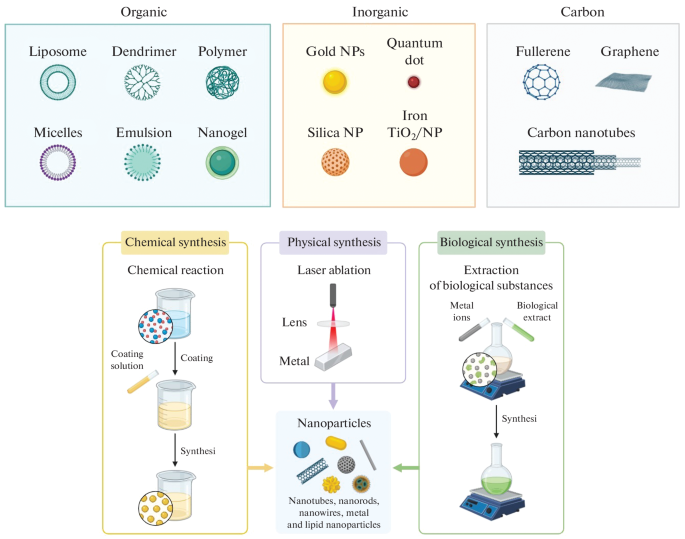Nanoparticles of Different Nature in Plant Biotechnology: Effectiveness ...