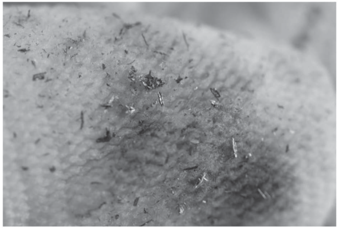 The Influence of Microtopography of Galvanized Strip on the Defect ...