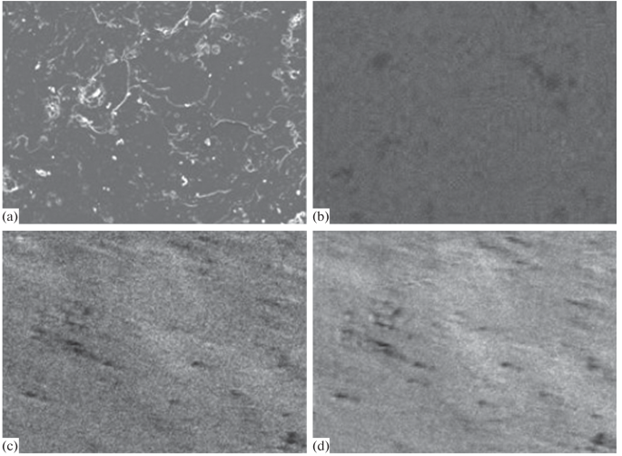 Properties of Titanium Carbonitride TiCN Coatings Obtained by Vacuum ...