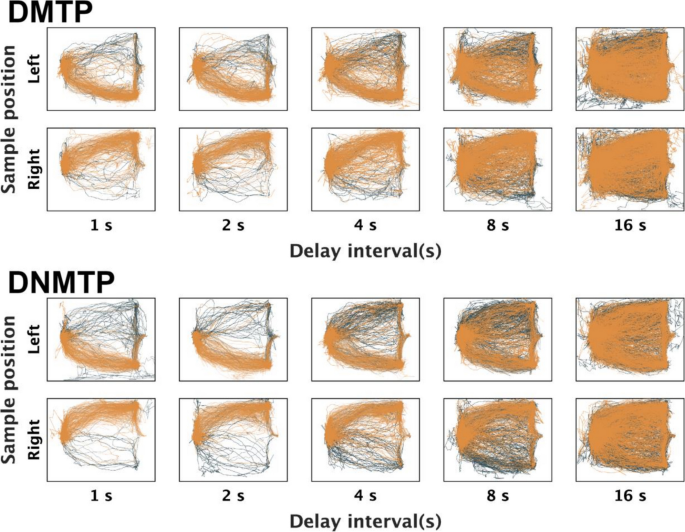 Quantifying nonmnemonic strategies in two-alternative forced-choice ...