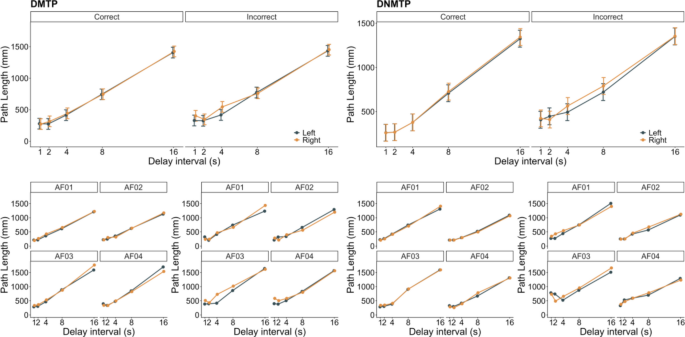 Quantifying nonmnemonic strategies in two-alternative forced-choice ...