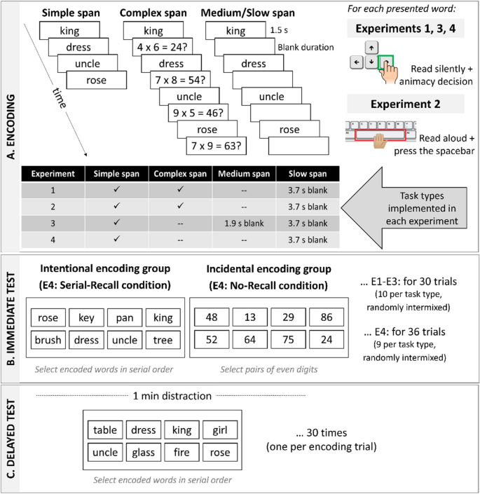 Active maintenance in working memory reinforces bindings for future retrieval from episodic long ...