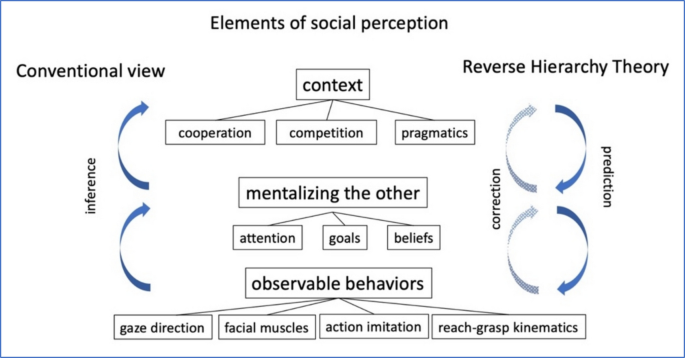 A reverse hierarchy theory of social perception | Psychonomic Bulletin ...