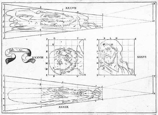Anamorphic Projection: Analogical/Digital Algorithms | SpringerLink