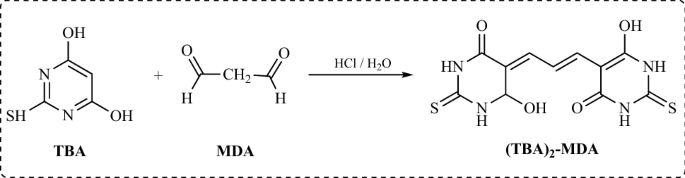 Antioxidants and antioxidant methods: an updated overview | SpringerLink