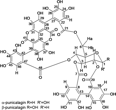 NMR assignments and the acid–base characterization of the pomegranate ...