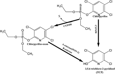 Simultaneous determination of chlorpyrifos and 3,5,6-trichloro-2 ...