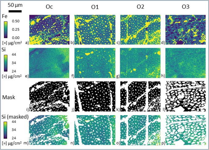 Archeological wood conservation with selected organosilicon compounds ...