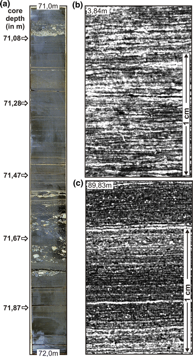 Short-term fluctuations in vegetation and phytoplankton during the ...