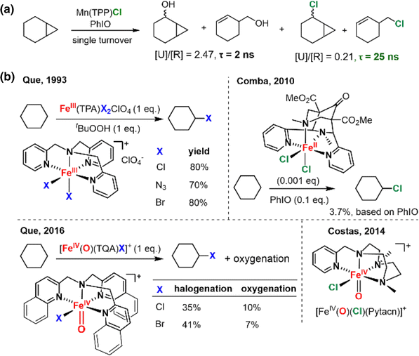 Beyond ferryl-mediated hydroxylation: 40 years of the rebound mechanism ...