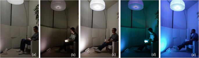DeLight : biofeedback through ambient light for stress intervention and ...