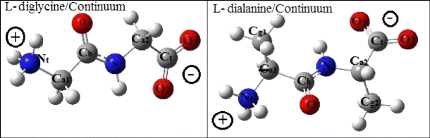 Solvent effects on the structures and vibrational features of ...