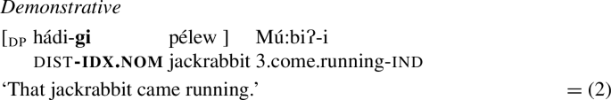 DP structure and internally headed relatives in Washo | SpringerLink
