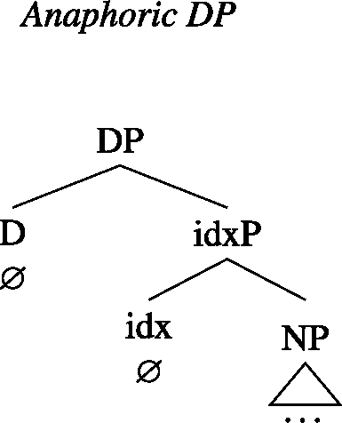 DP structure and internally headed relatives in Washo | SpringerLink