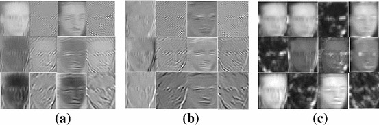 A cloud-based monitoring system via face recognition using Gabor and CS-LBP features | SpringerLink