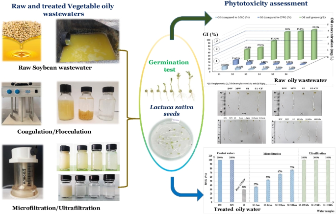 Phytotoxicity assessment of treated vegetable oily wastewater via ...
