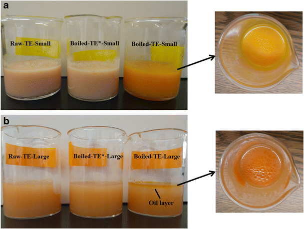 Enhancement of Carotenoid Bioaccessibility from Tomatoes Using Excipient Emulsions: Influence of ...