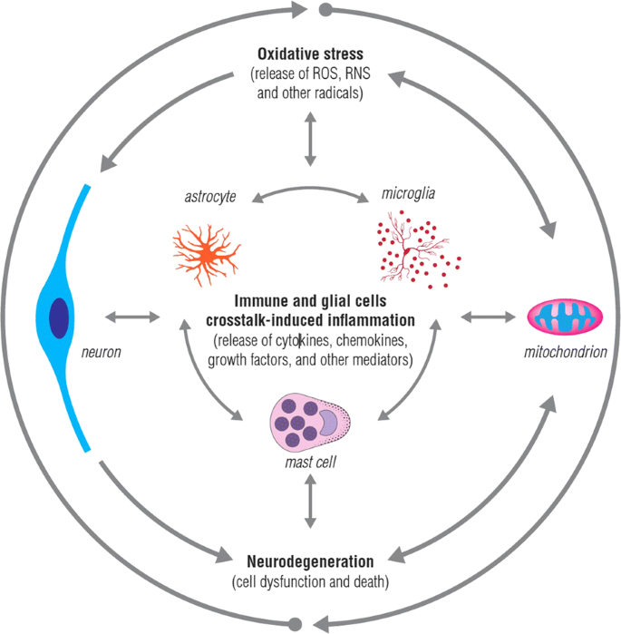 Pathophysiology and Therapeutic Perspectives of Oxidative Stress and ...