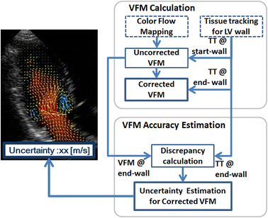 A posteriori accuracy estimation of ultrasonic vector-flow mapping (VFM ...
