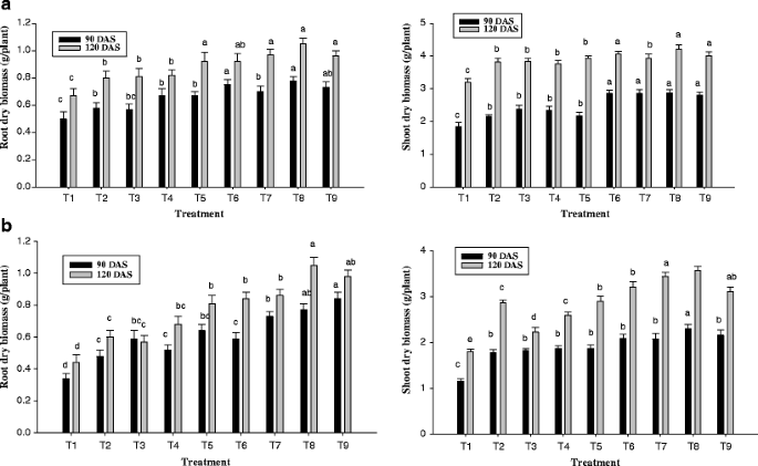 ACC deaminase producing Pseudomonas putida strain PSE3 and Rhizobium ...