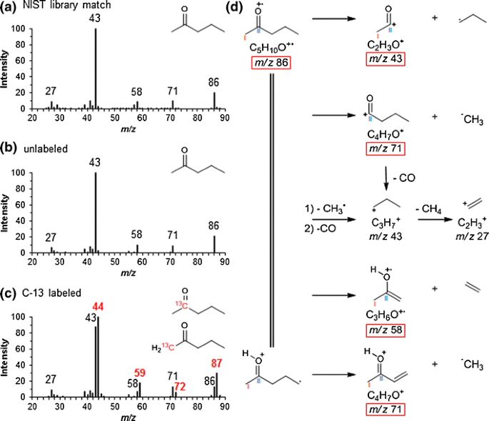 Characterization of Volatile Nylon 6.6 Thermal-Oxidative Degradation ...