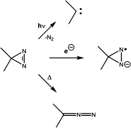 Electron Transfer Reduction of the Diazirine Ring in Gas-Phase Peptide ...