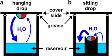 Polyoxometalates: more than a phasing tool in protein crystallography ...